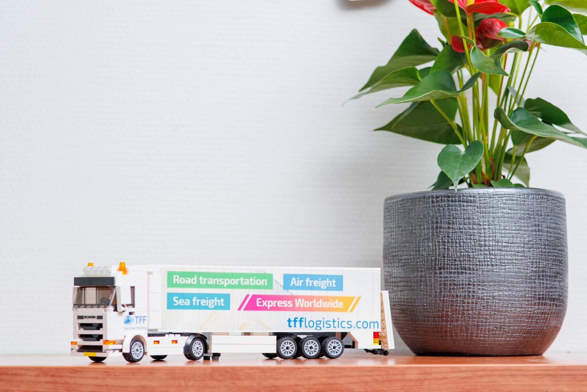 Free shipping portal | TFF | Effortless shipping